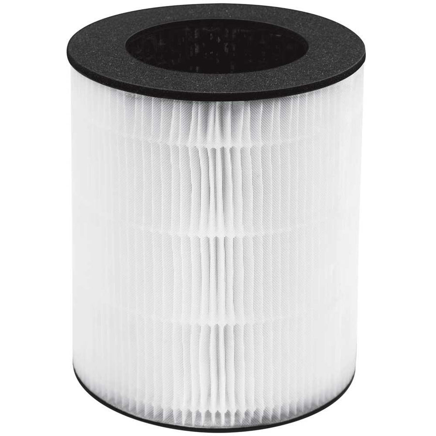 TotalClean Replacement HEPA-Type Filter for AP-T20 - Homedics